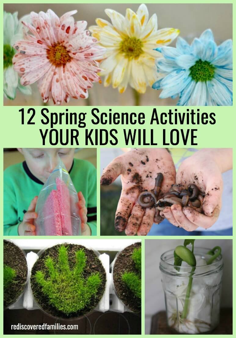 12 Spring Science Activities Your Kids Will Totally Love Rediscovered 