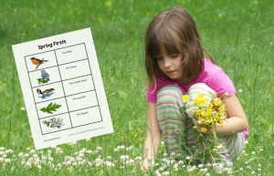 Signs of Spring: A Simple Activity Your Kids Will Love | Rediscovered ...