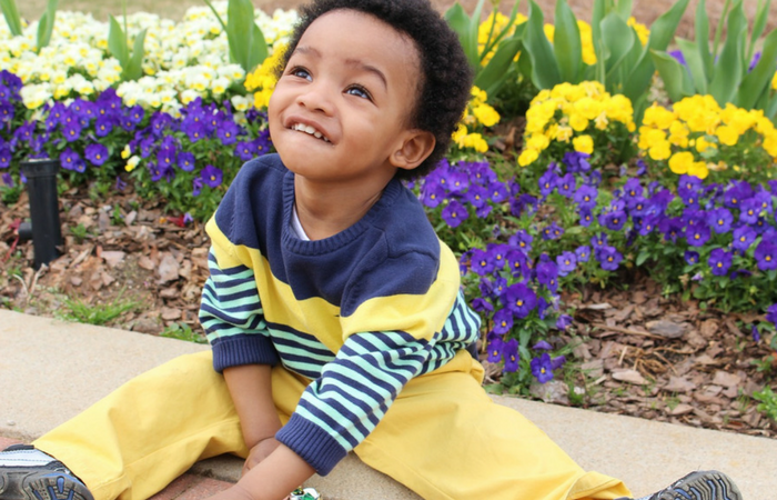 Signs of Spring: A Simple Activity Your Kids Will Love | Rediscovered ...