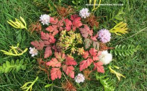 Nature Mandala: An Outdoor Activity To Enjoy With Kids | Rediscovered ...