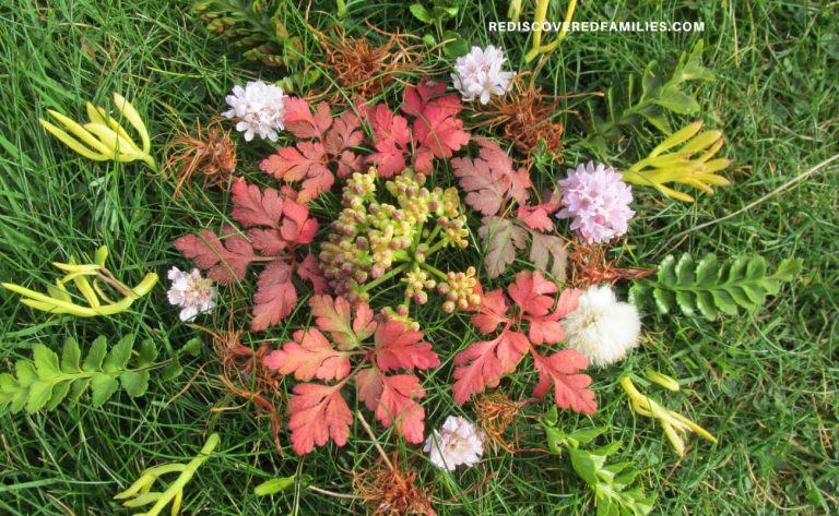 Nature Mandala: An Outdoor Activity To Enjoy With Kids | Rediscovered ...