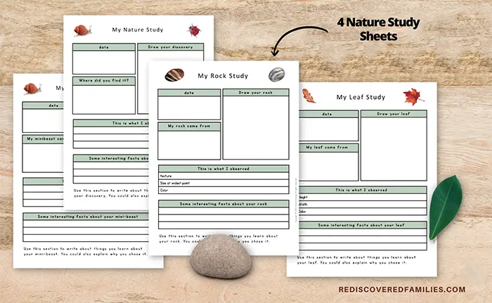 Printable Nature Journal For Kids | Rediscovered Families