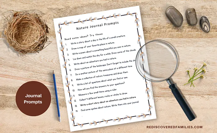 Printable Nature Journal For Kids | Rediscovered Families
