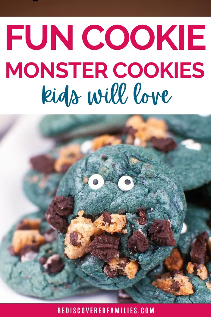 Cookie Monster Cookies Kids Will Love | Rediscovered Families