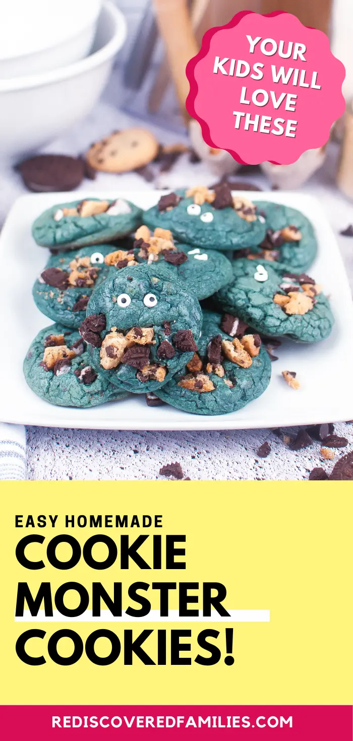 Cookie Monster Cookies Kids Will Love | Rediscovered Families