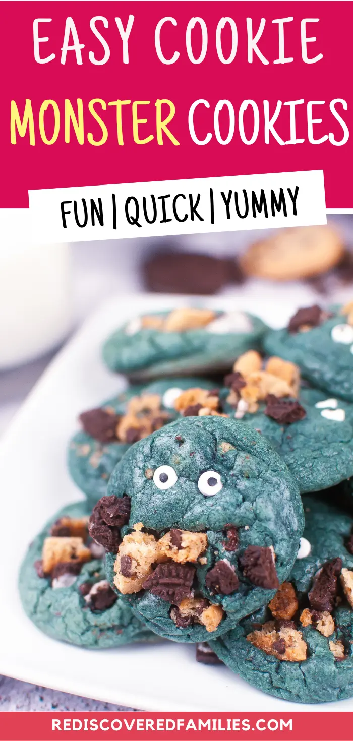 Cookie Monster Cookies Kids Will Love | Rediscovered Families