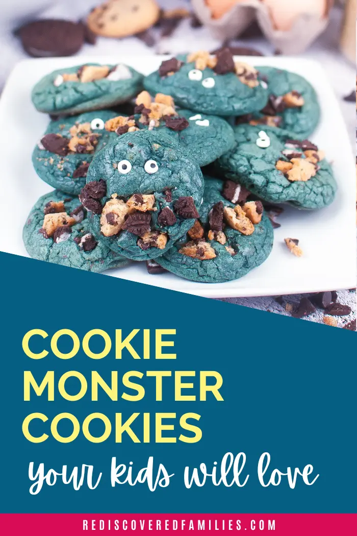 Cookie Monster Cookies Kids Will Love | Rediscovered Families