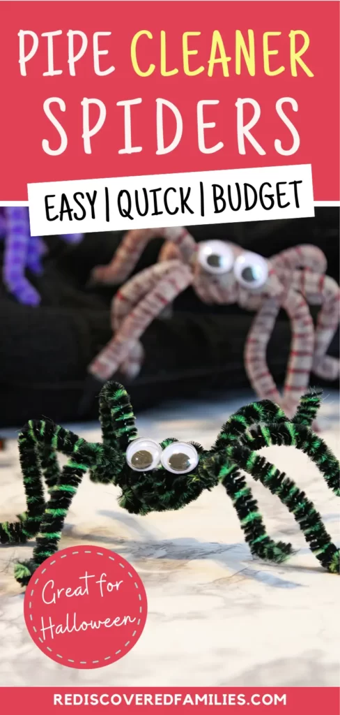 Pipe Cleaner Spiders: Quick and Easy Halloween Fun | Rediscovered Families