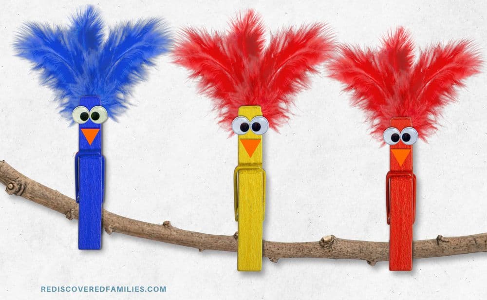 Clothespin Birds: A Fun Craft For Kids | Rediscovered Families
