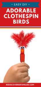 Clothespin Birds: A Fun Craft For Kids | Rediscovered Families
