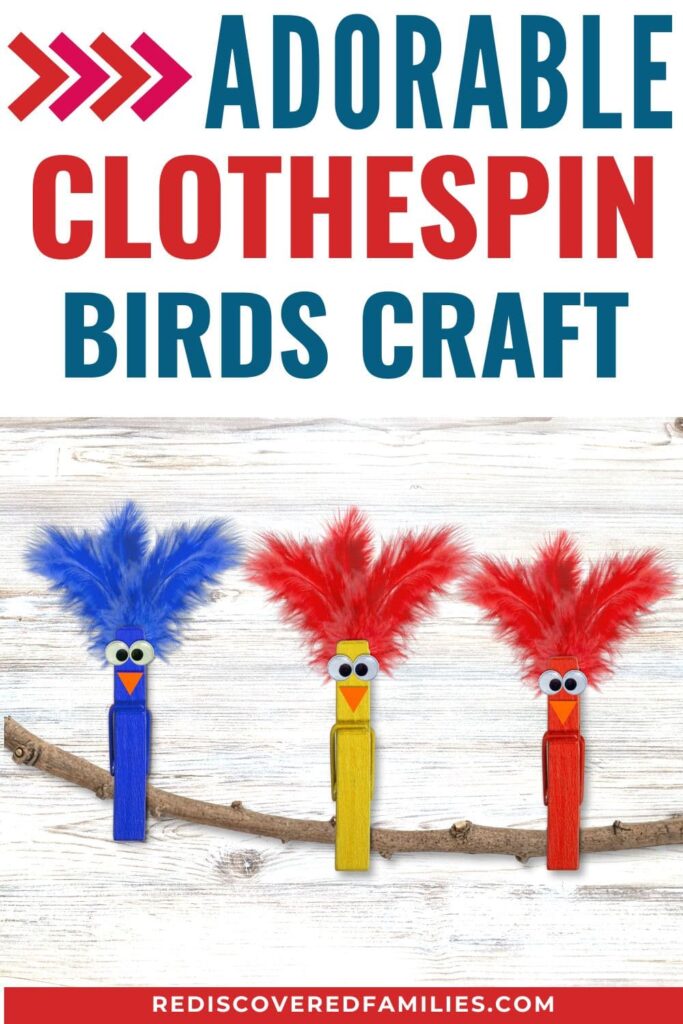 Clothespin Birds: A Fun Craft For Kids | Rediscovered Families