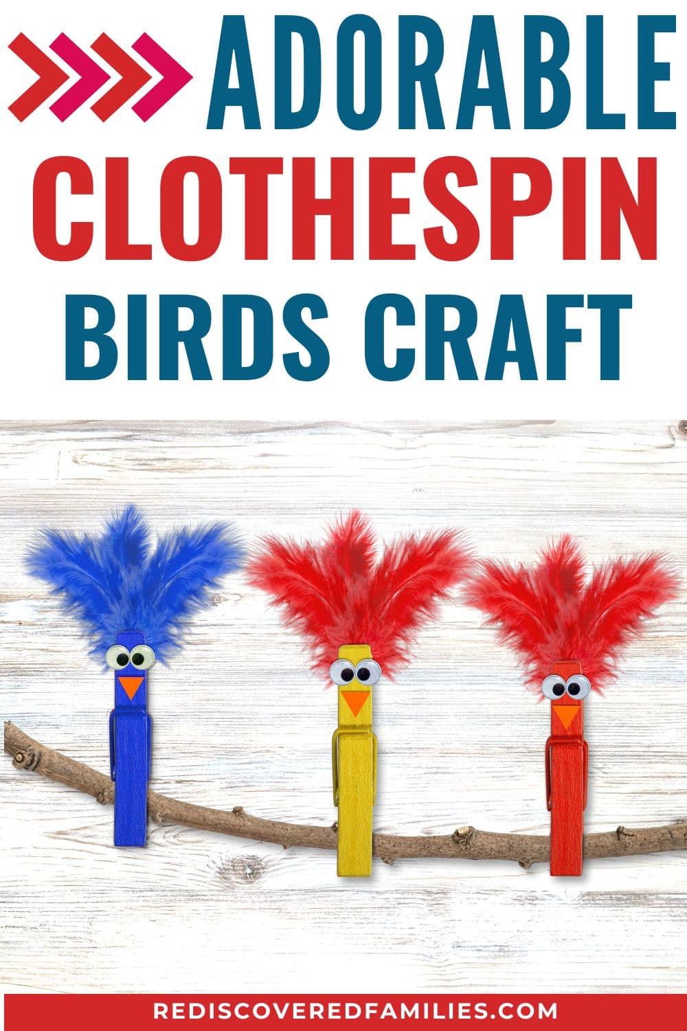 Clothespin Birds: A Fun Craft For Kids | Rediscovered Families