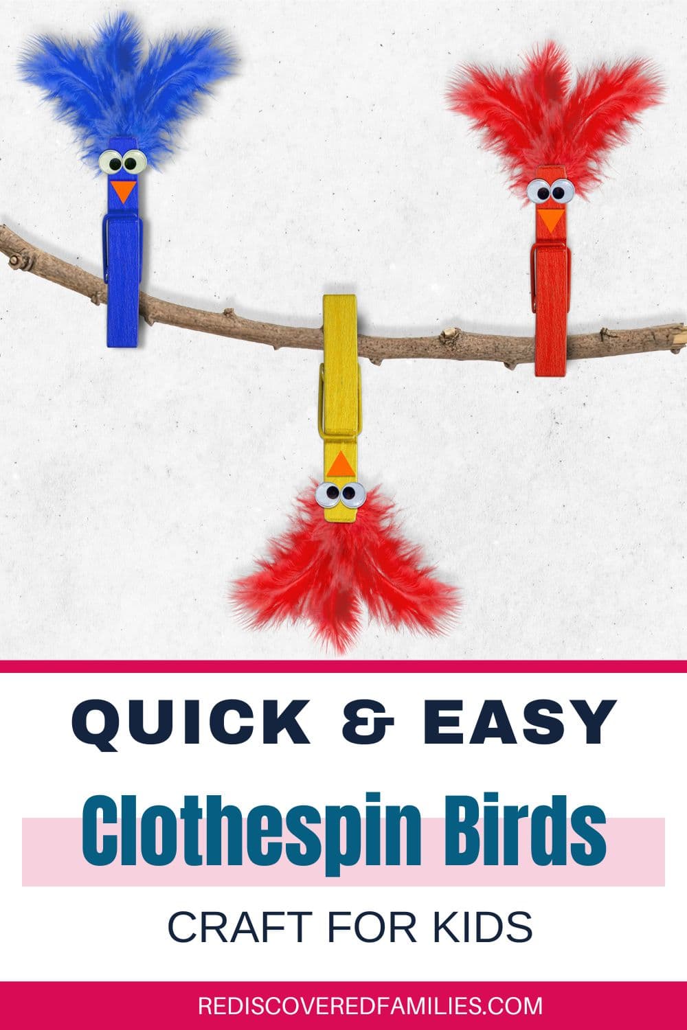 Clothespin Birds: A Fun Craft For Kids | Rediscovered Families