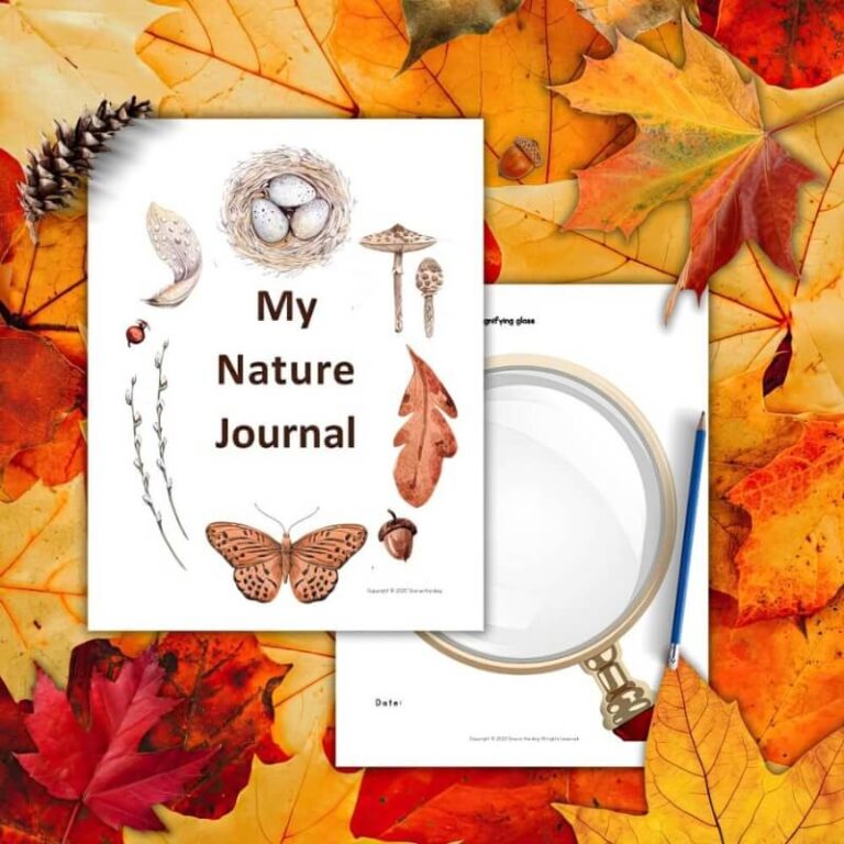 28 Forest School Activities To Entice Kids Outside | Rediscovered Families