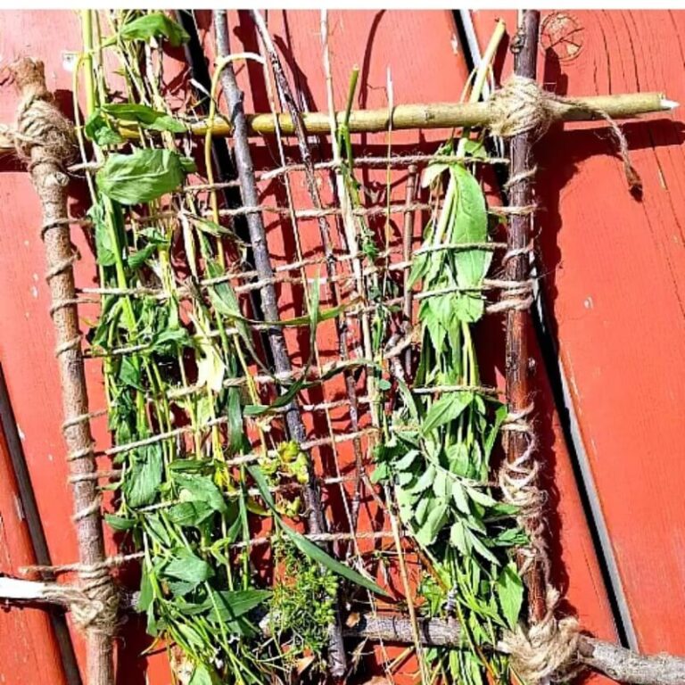 28 Forest School Activities To Entice Kids Outside | Rediscovered Families