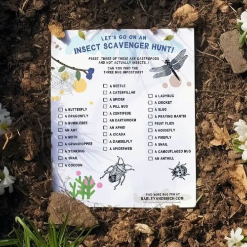 28 Forest School Activities To Entice Kids Outside | Rediscovered Families