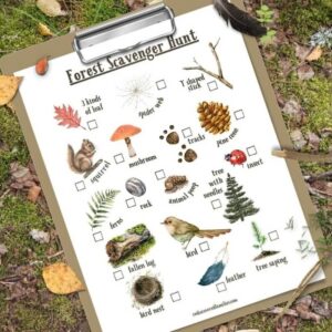 28 Forest School Activities To Entice Kids Outside | Rediscovered Families