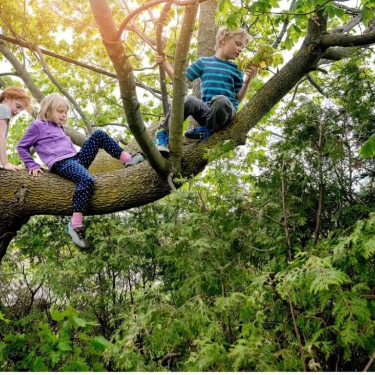 28 Forest School Activities To Entice Kids Outside | Rediscovered Families