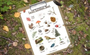 Free Forest Scavenger Hunt Your Kids Will Love | Rediscovered Families