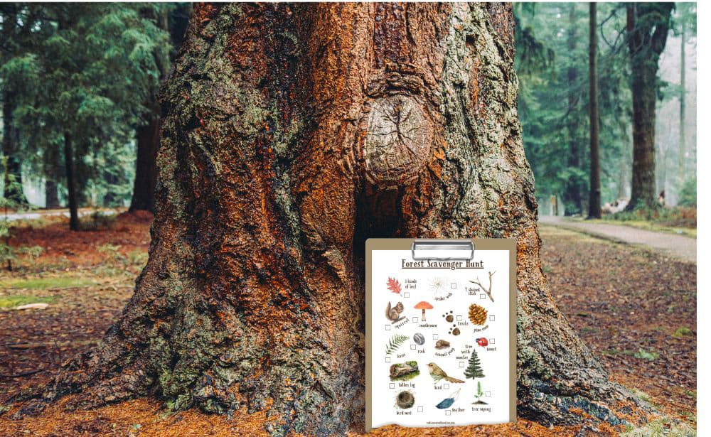 Free Forest Scavenger Hunt Your Kids Will Love | Rediscovered Families