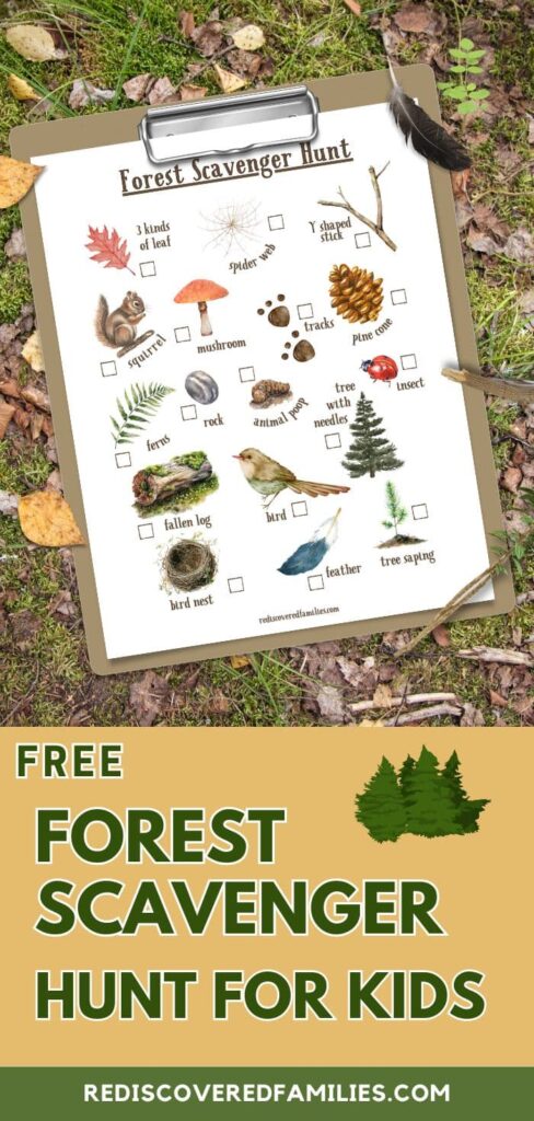 Free Forest Scavenger Hunt Your Kids Will Love | Rediscovered Families