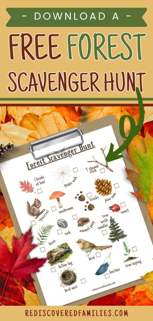Free Forest Scavenger Hunt Your Kids Will Love | Rediscovered Families