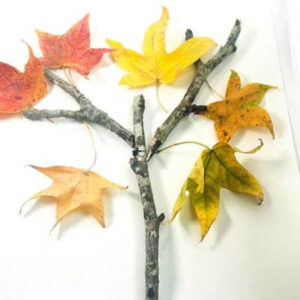 50 Easy Fall Crafts Your Kids Will Love | Rediscovered Families